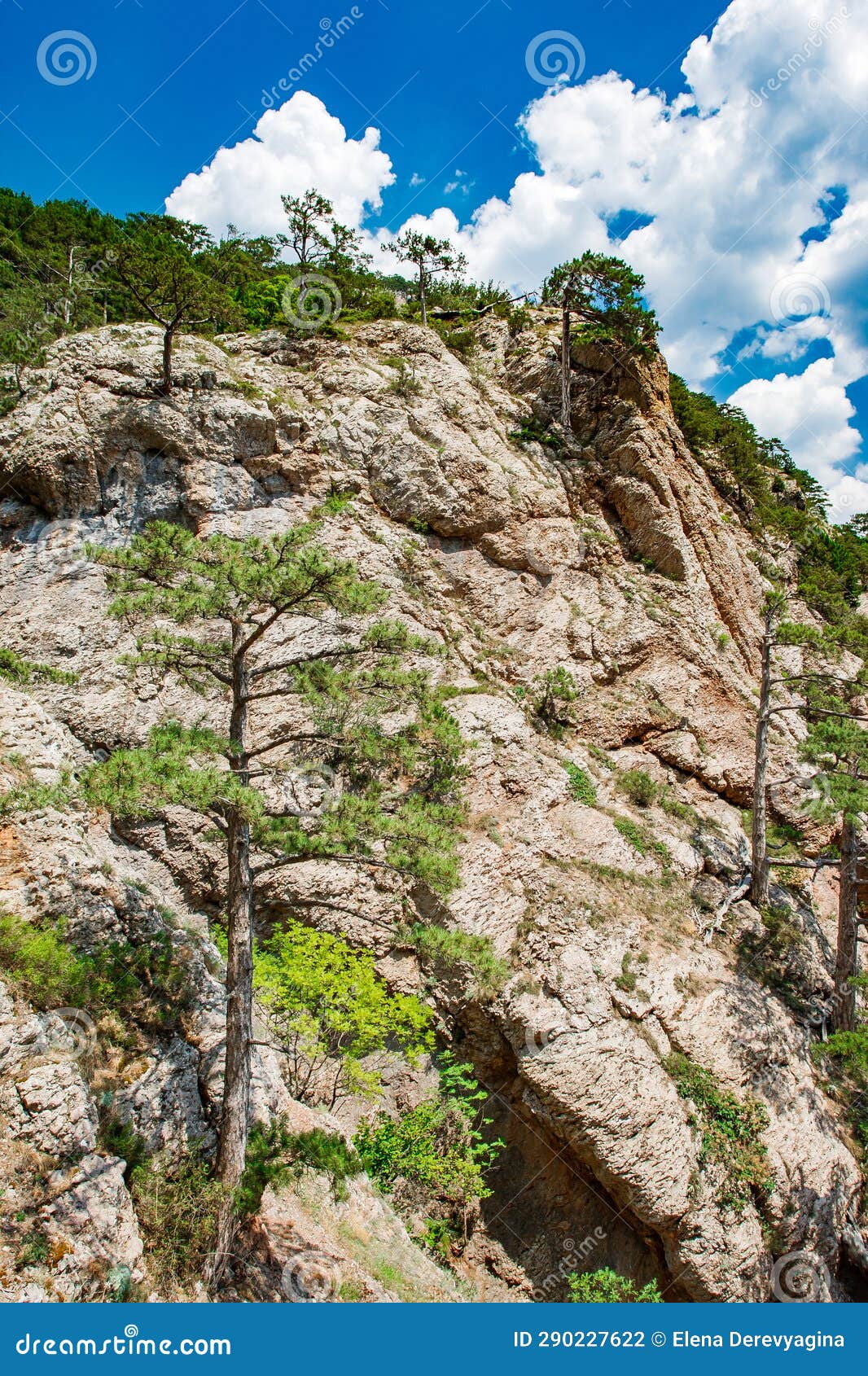 Steep Cliffs in Mountainous Terrain with Coniferous Trees, Fault in ...