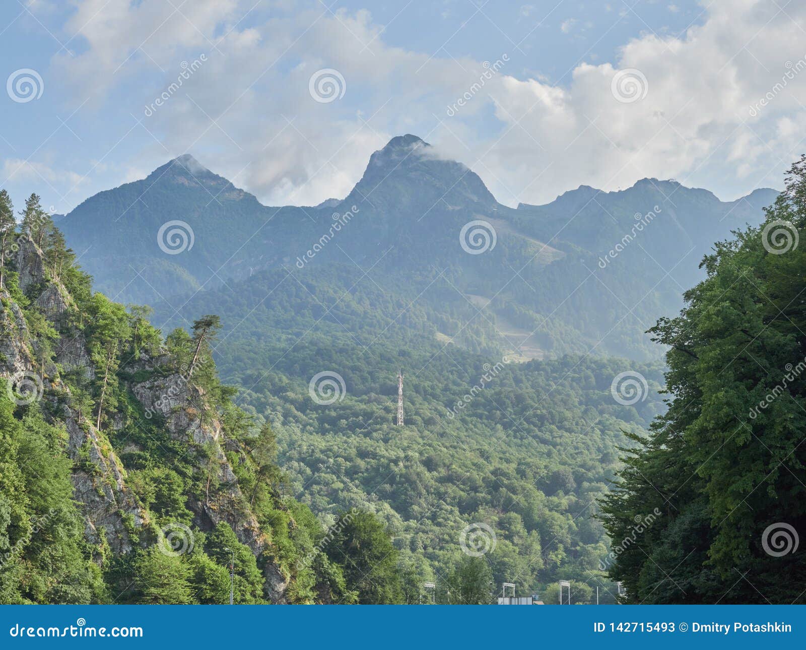 Steep Cliffs with Pines Growing on Them Stock Image - Image of ...