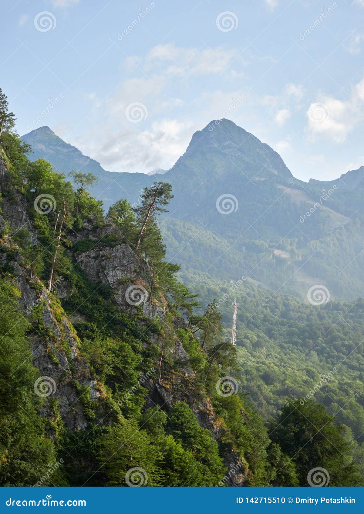 Steep Cliffs with Pines Growing on Them Stock Photo - Image of ravine ...