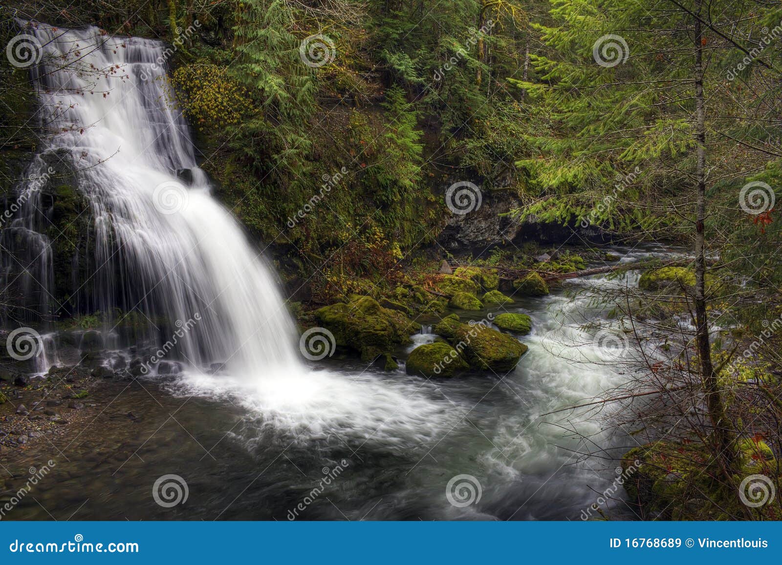 Steep Creek Falls stock image. Image of water, creek - 16768689