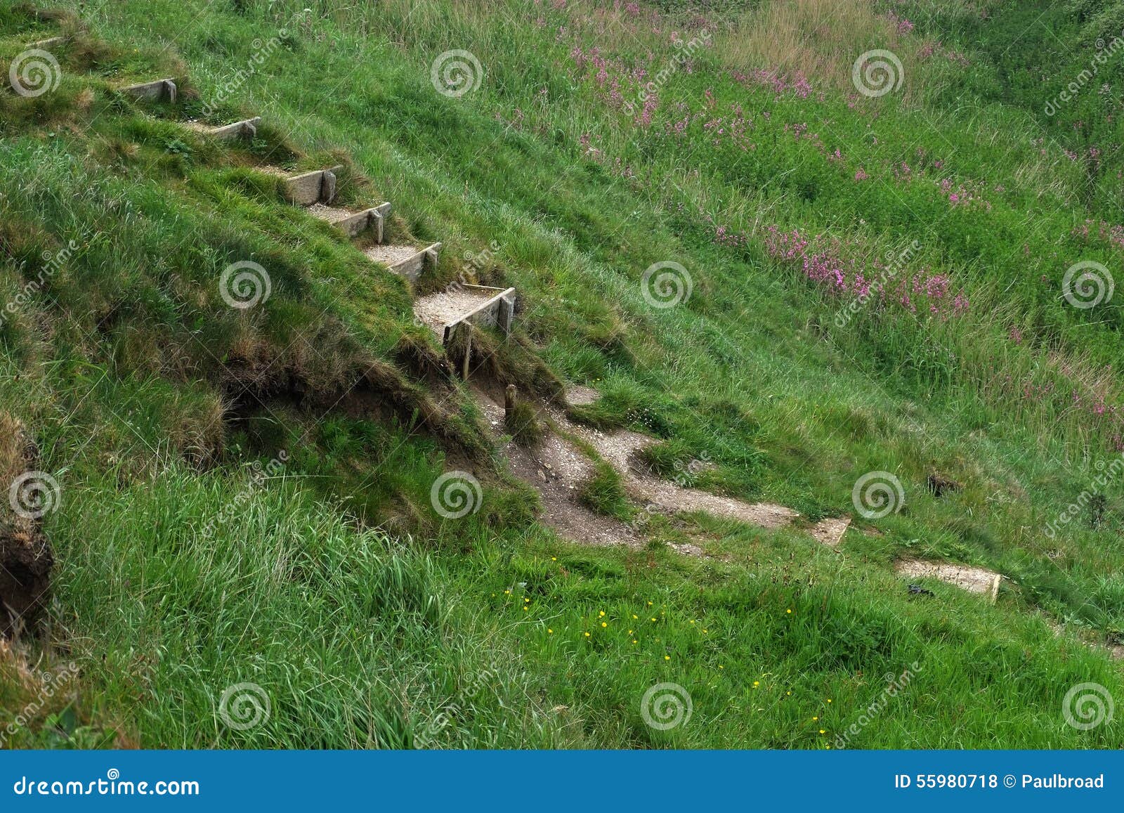 Steep Dangerous Steps on Hillside. Stock Photo - Image of steep, path ...