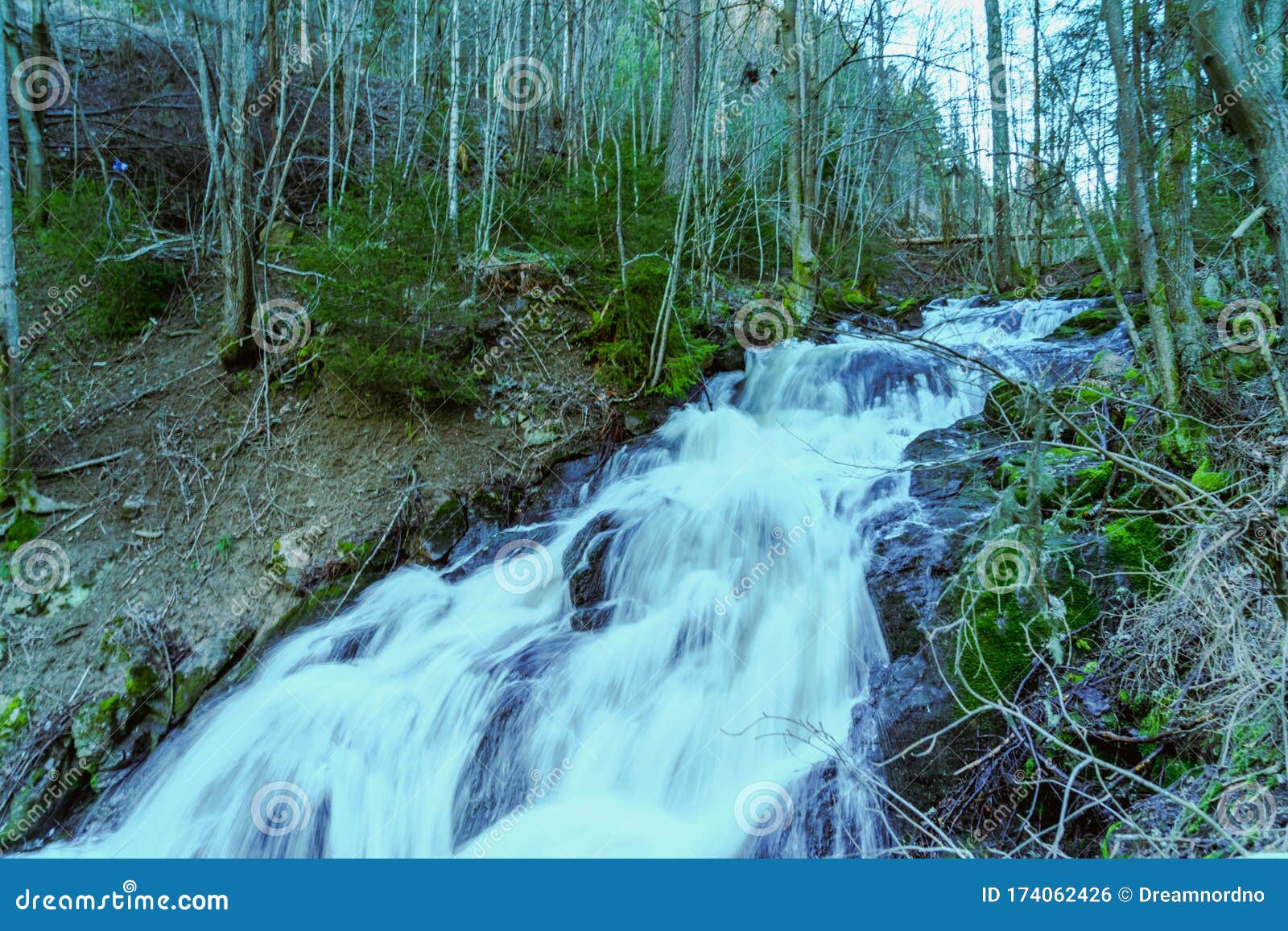 A Steep Forest Stream that Turns into a Small Waterfall Stock Photo ...
