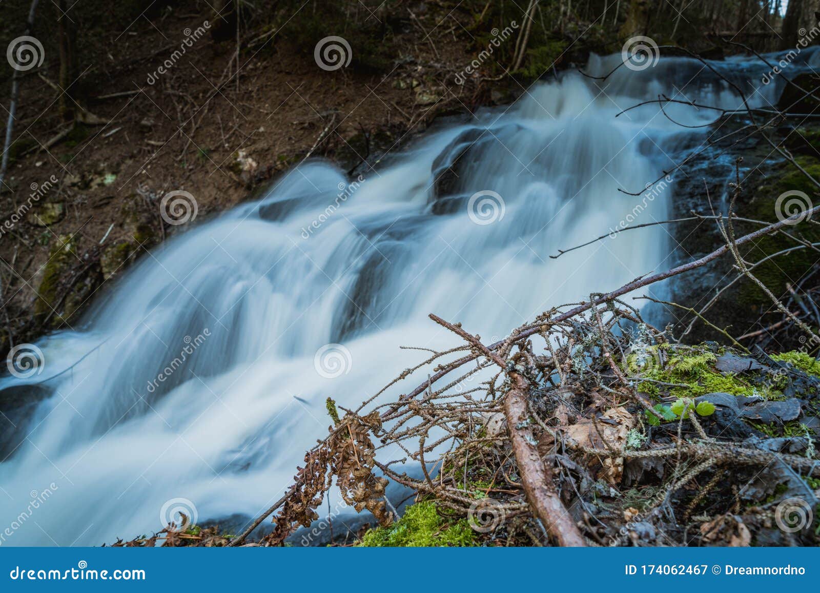 A Steep Forest Stream that Turns into a Small Waterfall Stock Image ...