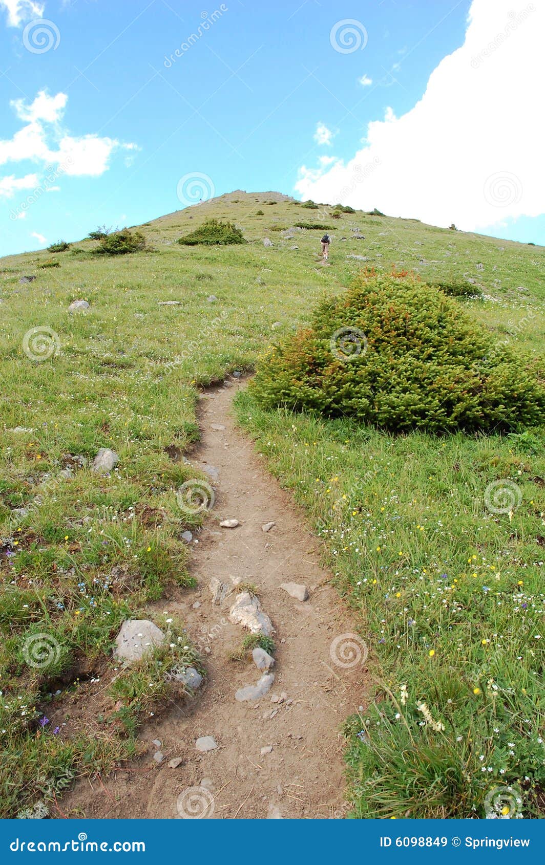 Steep hiking trail stock image. Image of lakes, kananaskis - 6098849