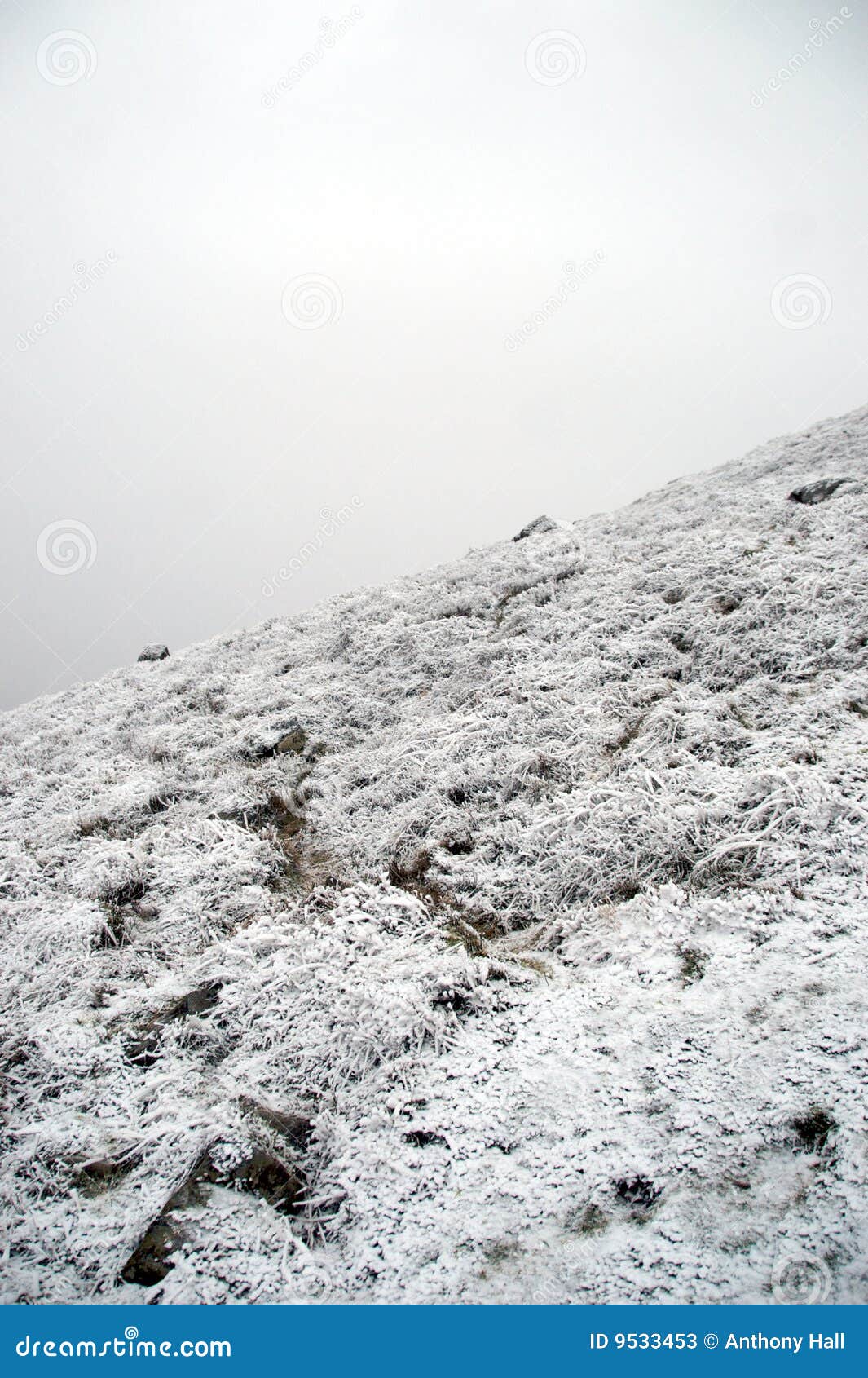 Steep Hillside with Frost and Snow Stock Image - Image of frost, frigid ...