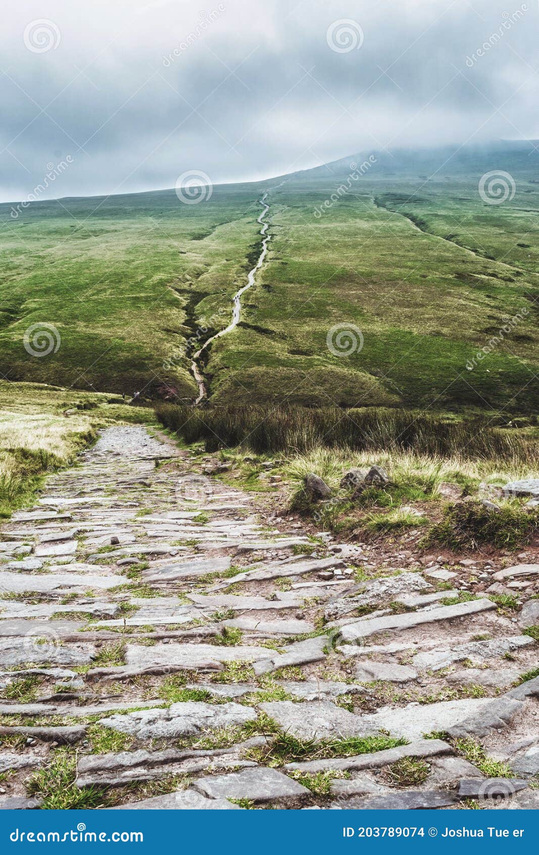 The steep mountain path stock photo. Image of steep - 203789074