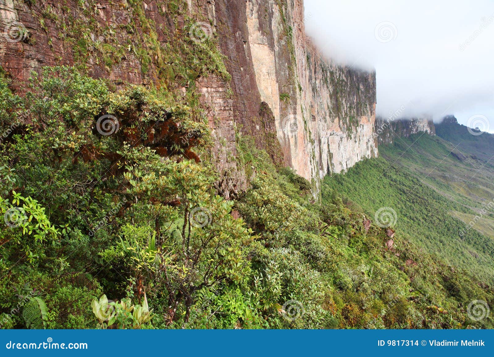 The Steep Rock Wall of Monte Roraima Stock Photo - Image of cliff ...