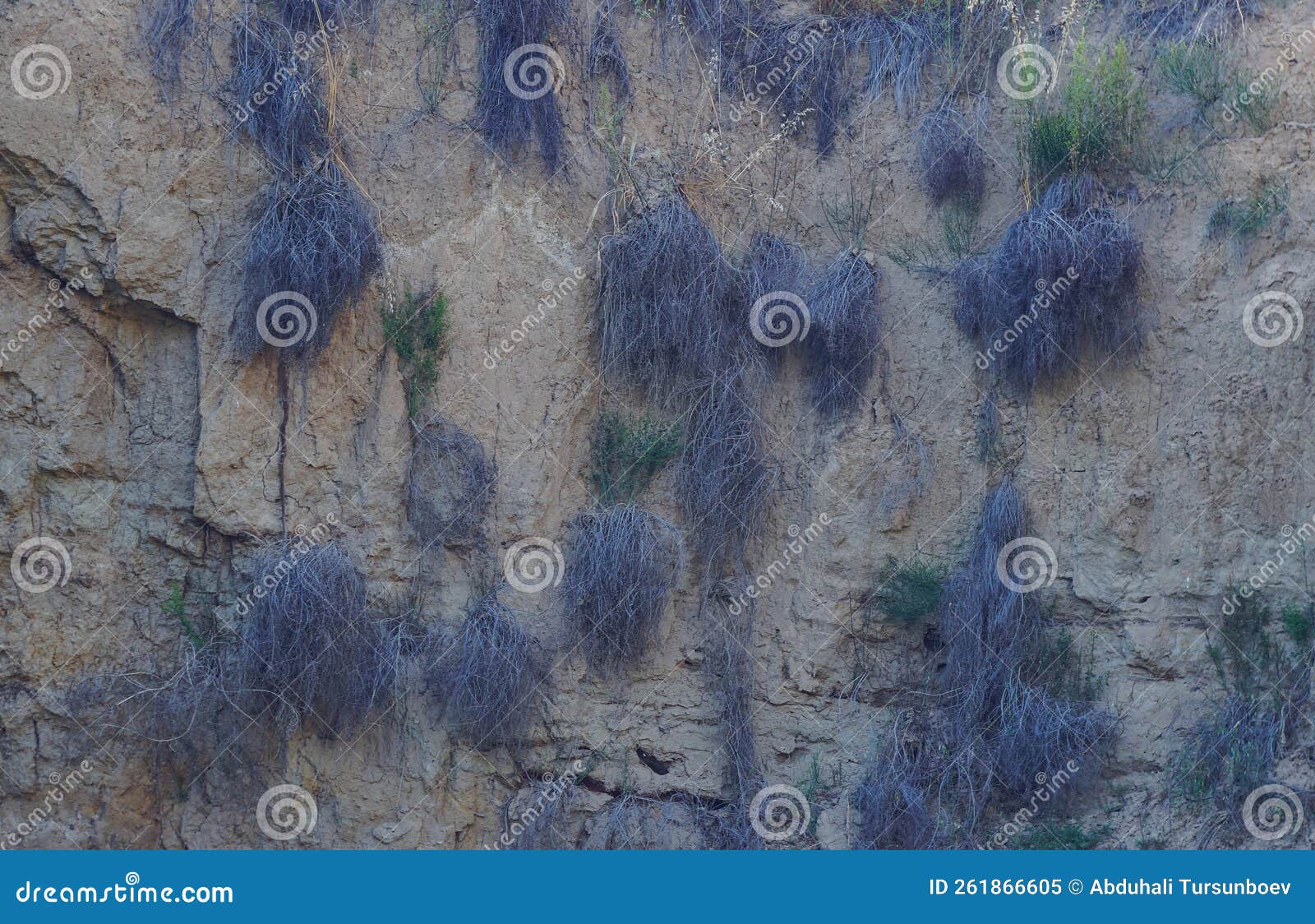 Steep rock wall stock image. Image of object, cave, adventure - 261866605