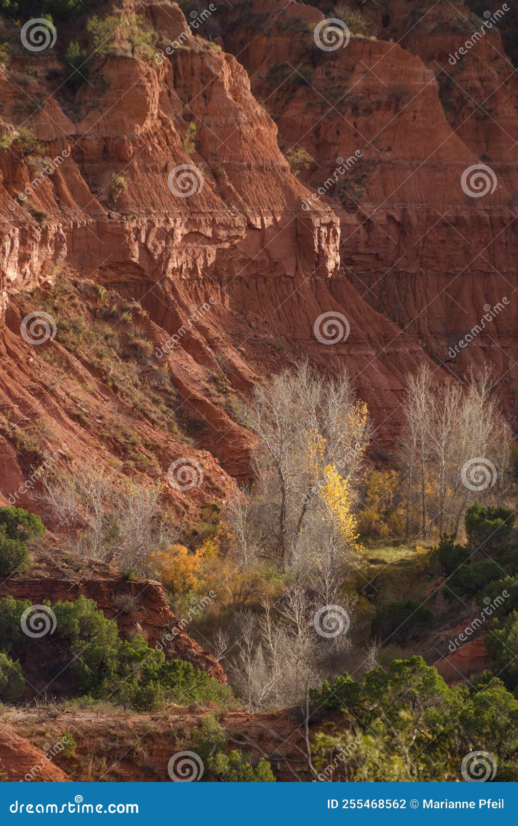 Red Sandstone Cliffs and Autumn Colors at Caprock Canyons State Park in ...
