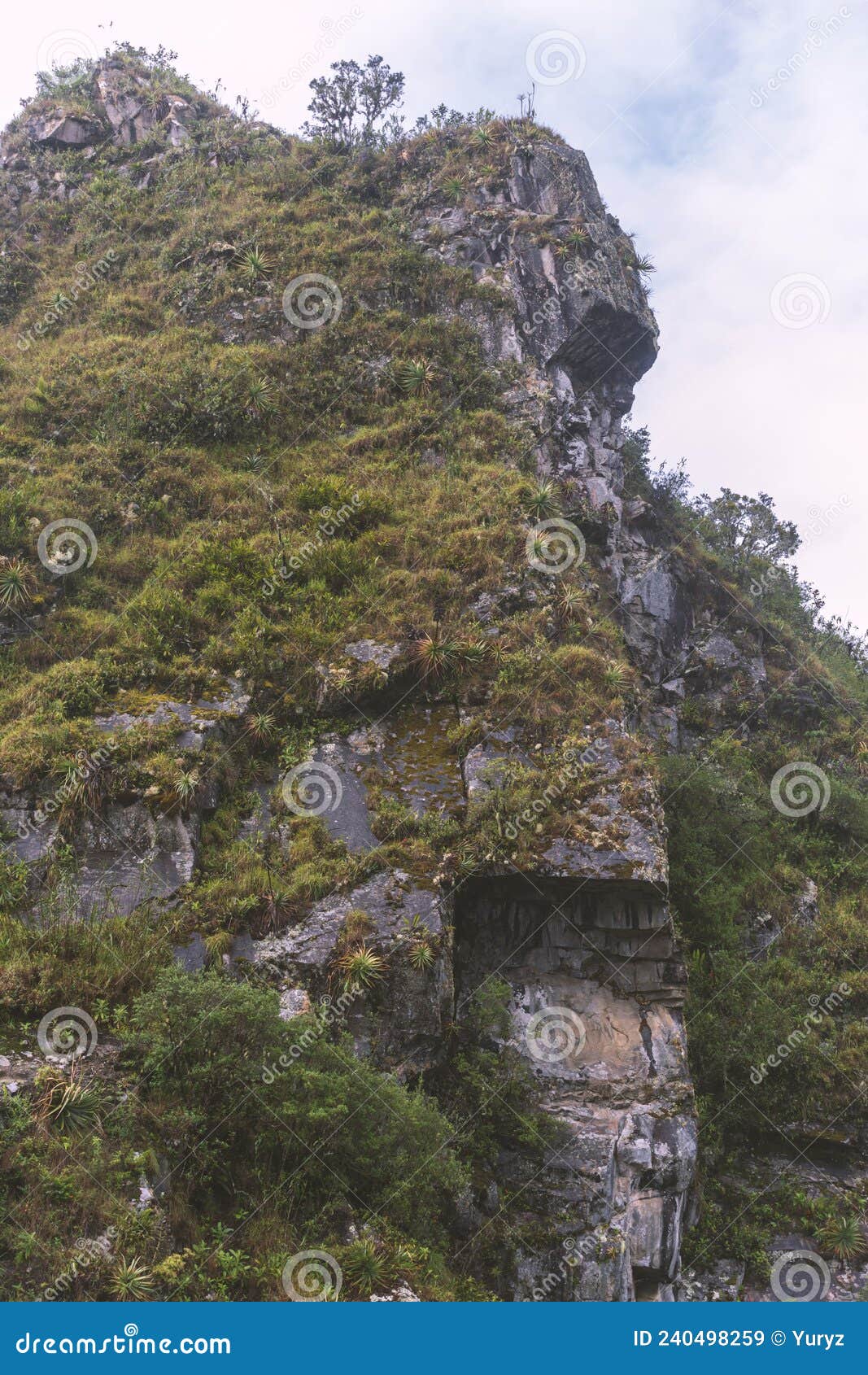 Steep rocky cliff stock image. Image of wilderness, life - 240498259