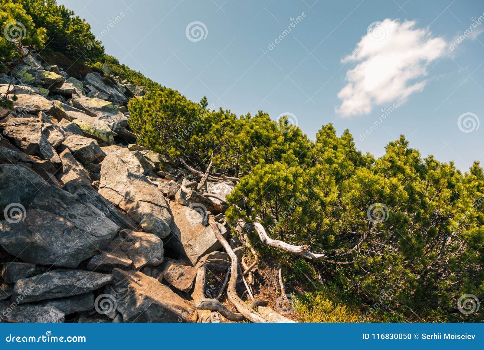 Steep rocky path stock photo. Image of blue, climb, cloud - 116830050