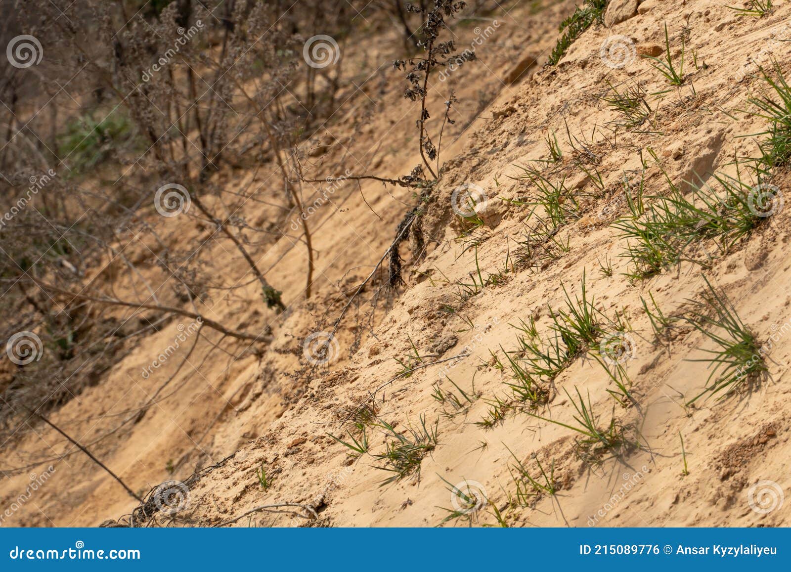 The Steep Slope of a Sand Mining Quarry. Background and Texture of Sand ...