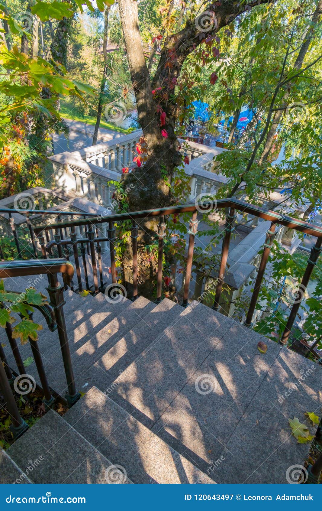 Steep Staircase Going Down between the Trees To the Viewing Platform ...