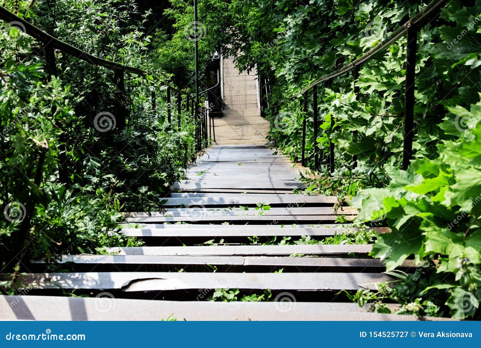 Steep Stairs Leading Down among Green Trees Stock Image - Image of ...