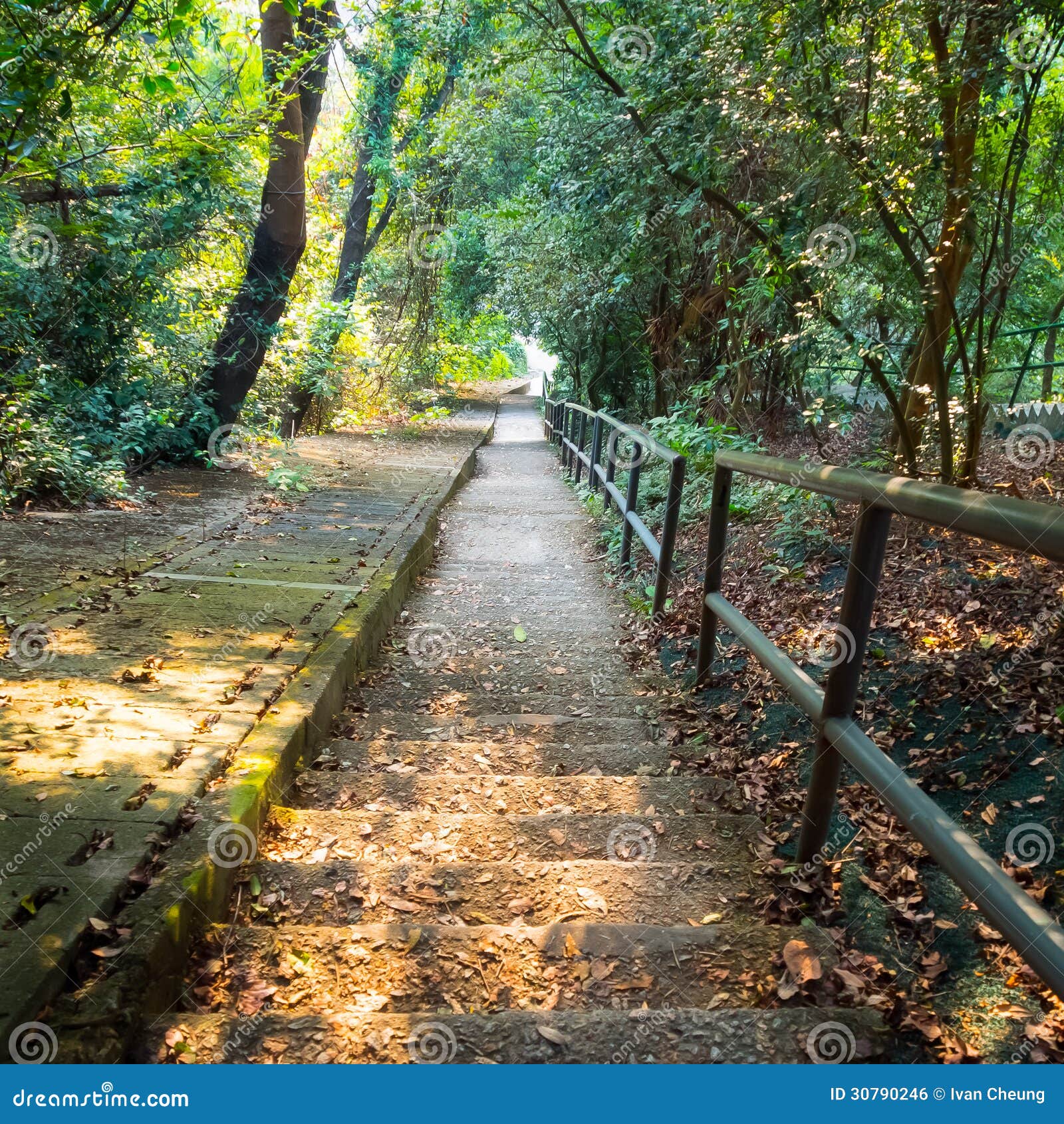 Steep stairs pathway stock photo. Image of flower, foliage - 30790246