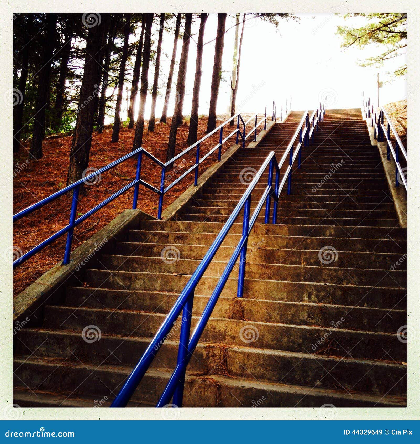 Steep stairs stock image. Image of step, path, handrail - 44329649