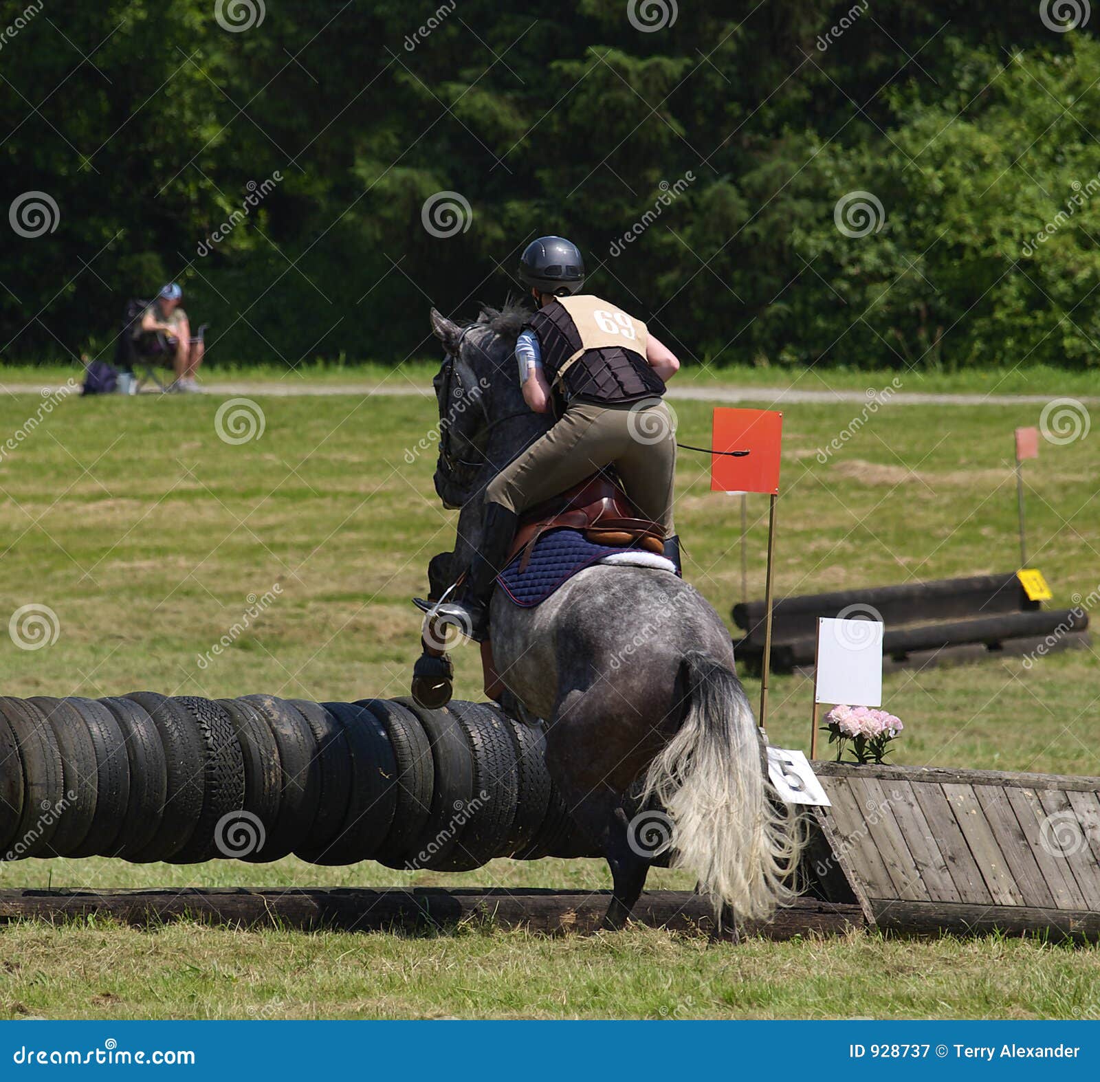 Steeplechase Picture. Image: 928737