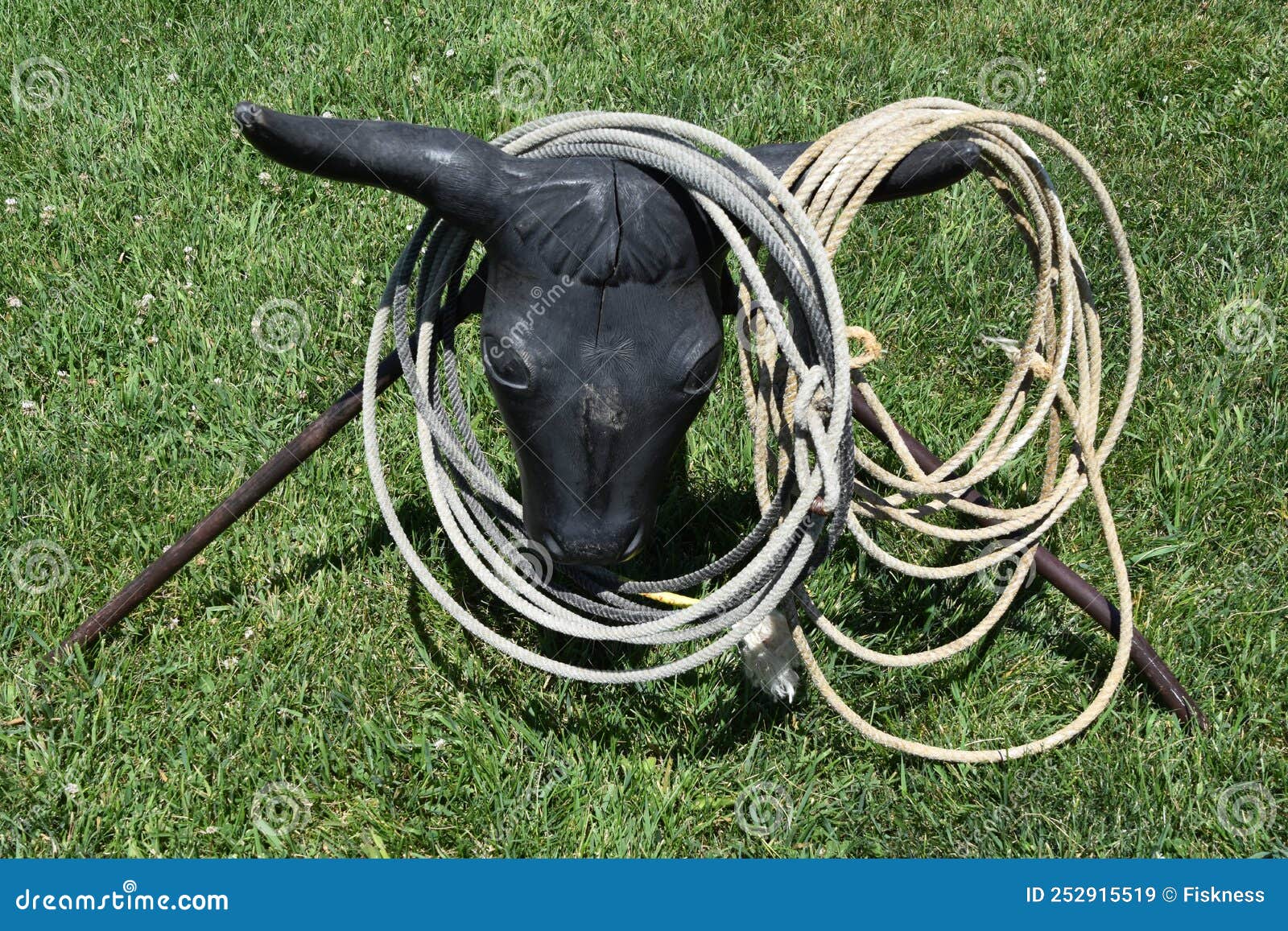 Lassoing On Prairie. Man Unshaven Cowboy Black Background. Cowboy ...