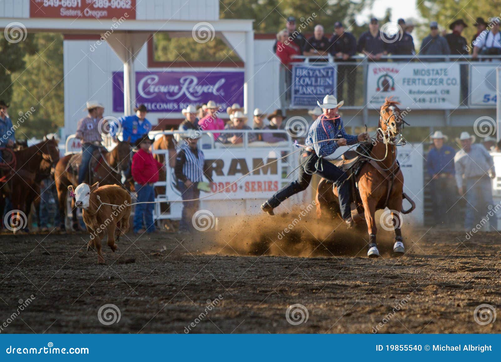 Steer Roping - Sisters, Oregon PRCA Pro Rodeo 2011 Editorial Image ...