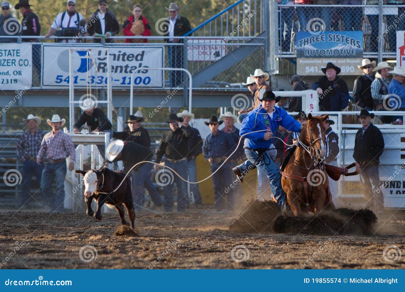 Steer Roping - Sisters, Oregon PRCA Pro Rodeo 2011 Editorial Stock ...