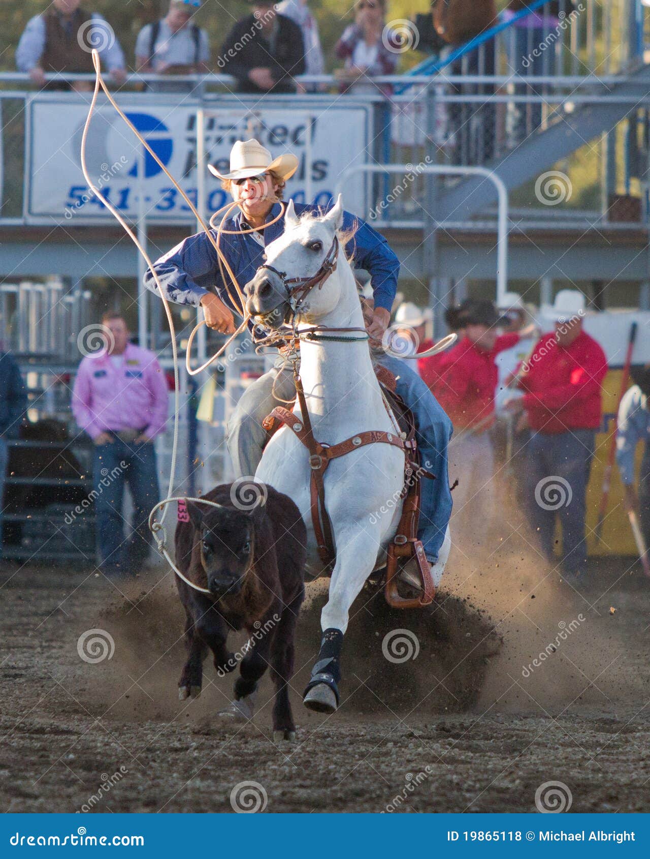 Steer Roping - Sisters, Oregon Rodeo 2011 Editorial Stock Photo - Image ...