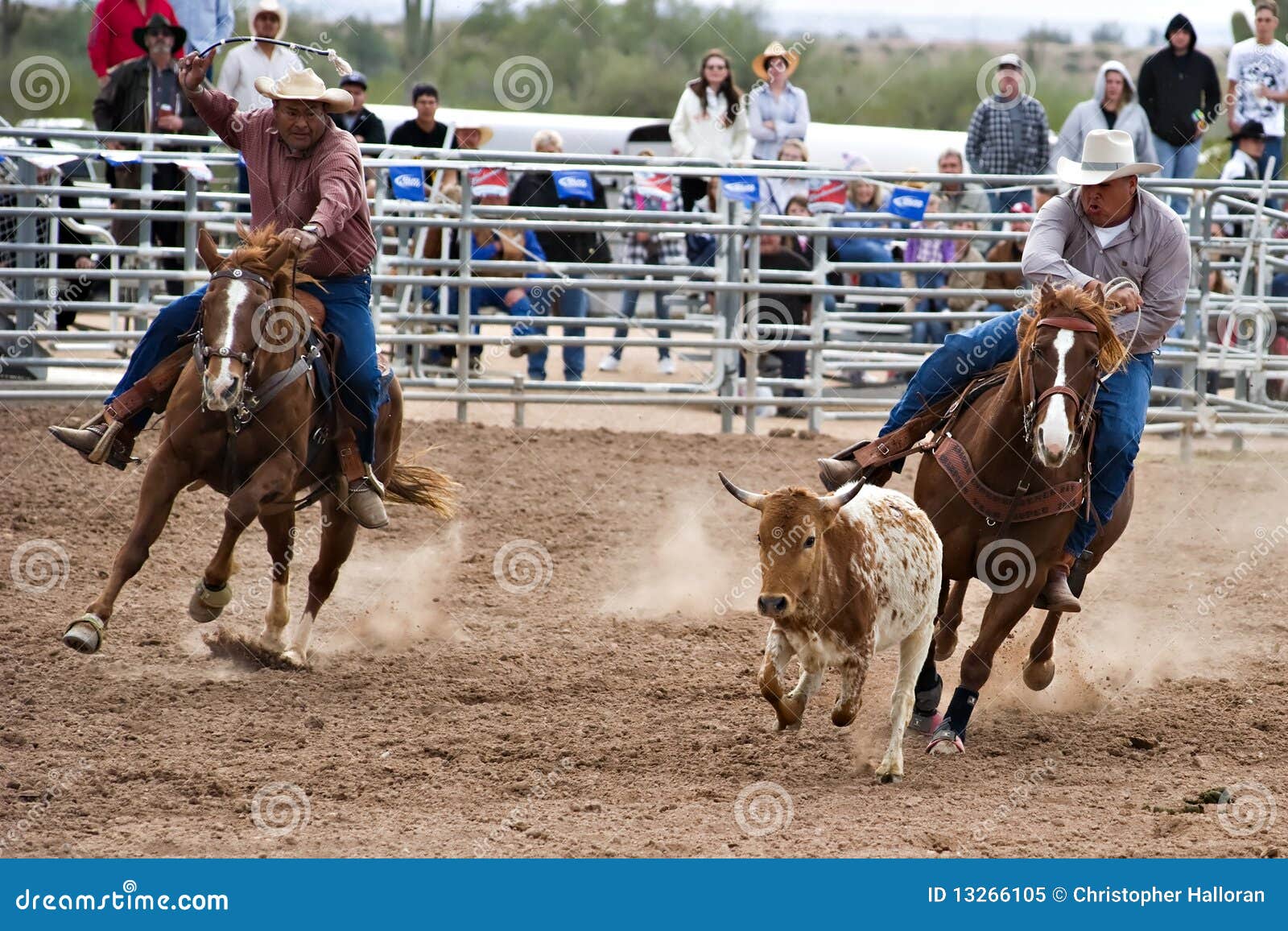 Steer wrestling editorial image. Image of horseback, cowboy - 13266105