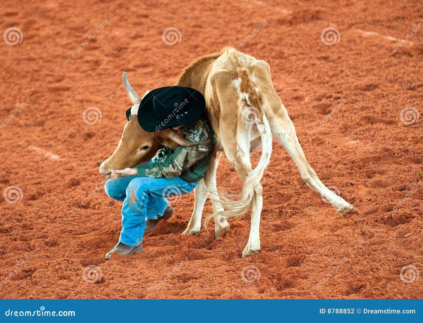 Steer Wrestling stock photo. Image of cattle, bull, mammal - 8788852