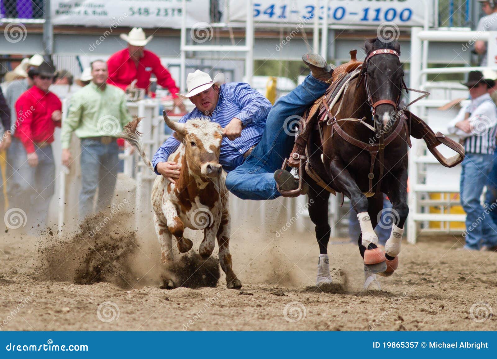 Steer Wrestling - PRCA Sisters, Oregon Rodeo 2011 Editorial Photography ...