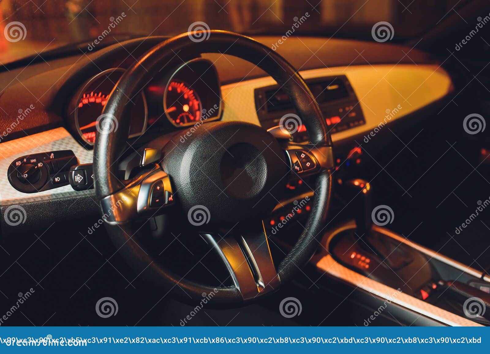 The Steering Wheel and the Instrument Panel on the Dashboard of the Car ...