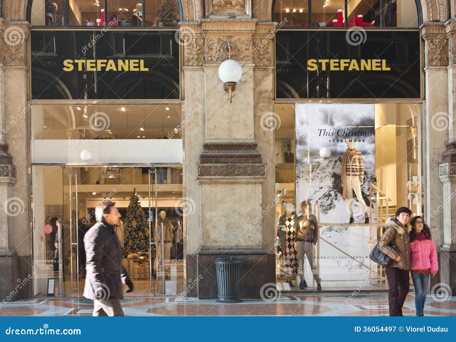Stefanel fotografía editorial. Imagen de ventana, manera - 36054497