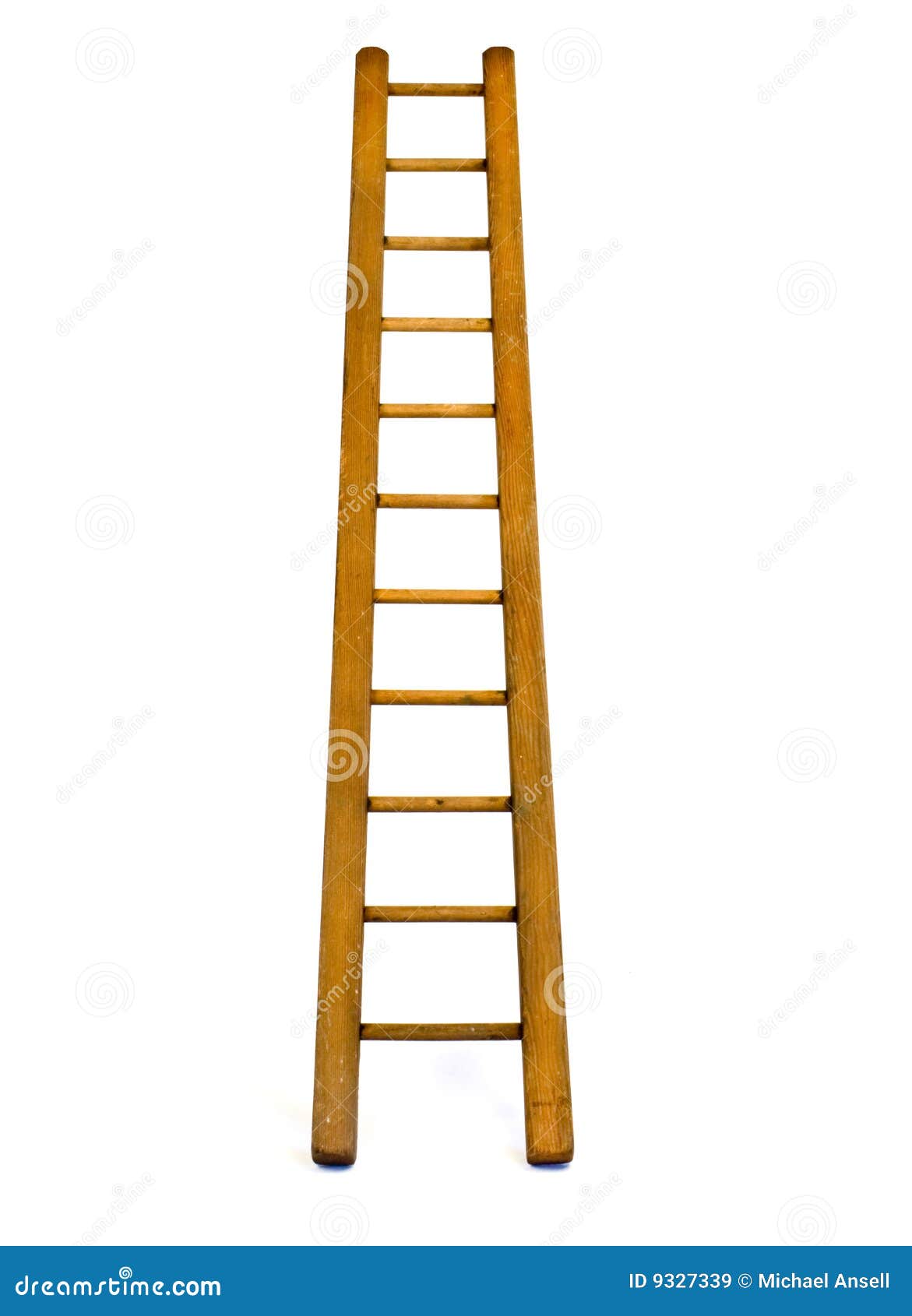 Stege fotografering för bildbyråer. Bild av svampar, höjder - 9327339