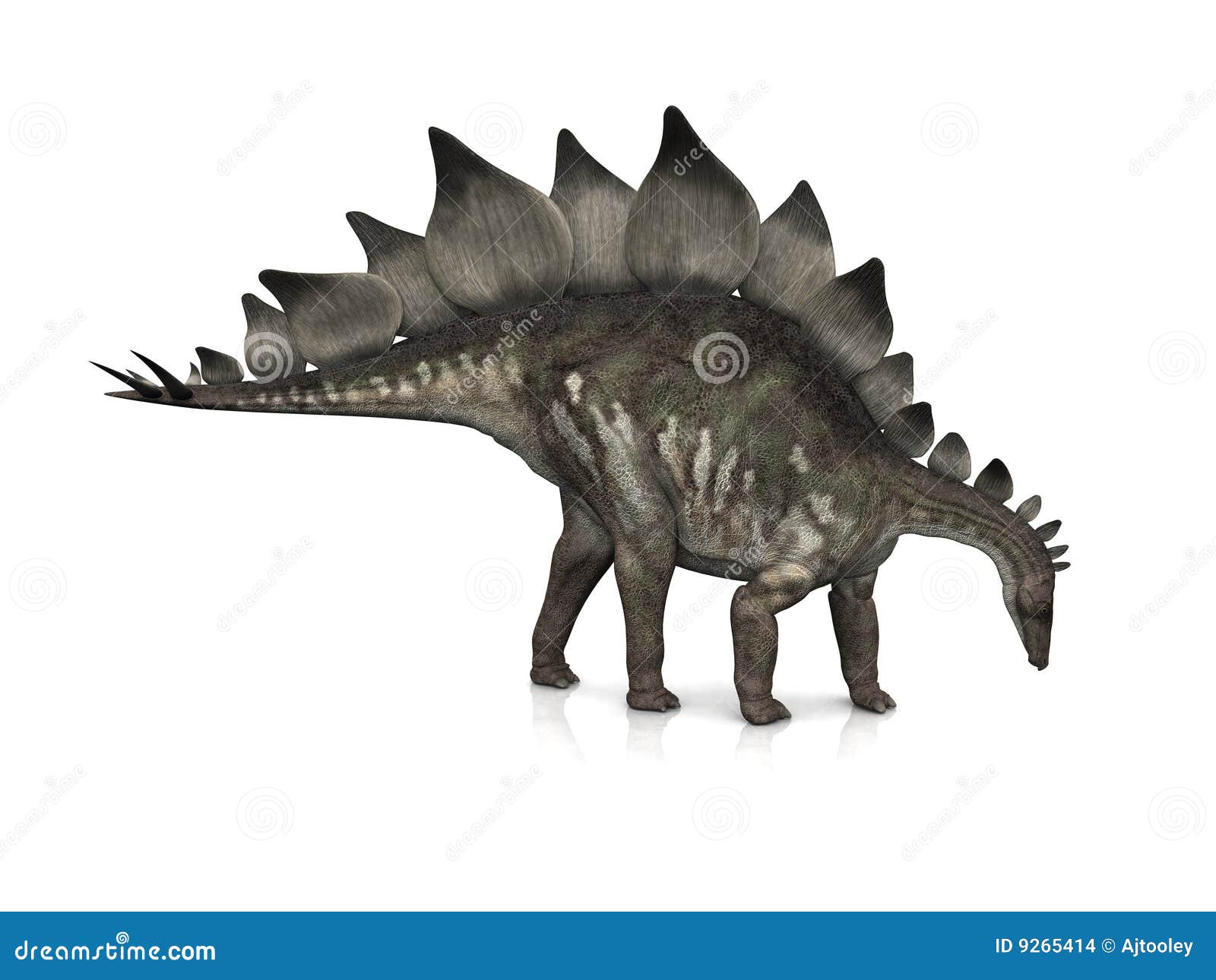 Stegosaurus Vector Illustration | CartoonDealer.com #53100890