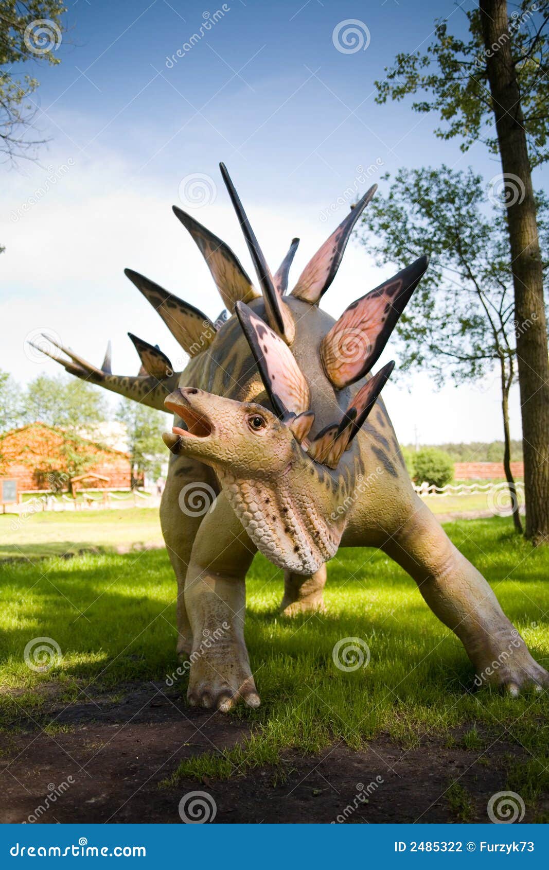 Stegosaurus armatus stock photo. Image of attack, lizard - 2485322