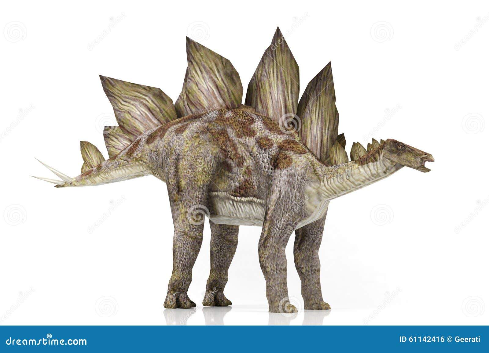 Stegosaurus stock illustration. Illustration of tamed - 61142416