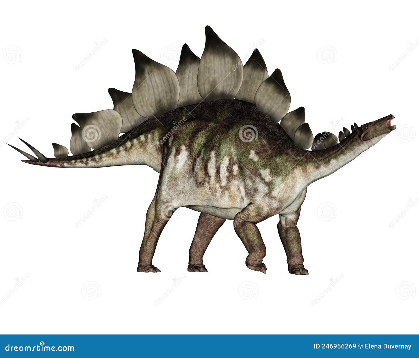 Stegosaurus Walk Dinosaur Ancient Vector Illustration Transparent ...