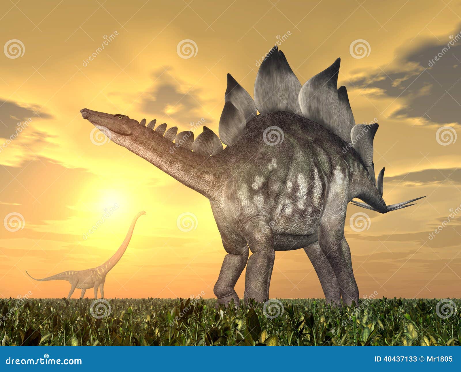 Dinosaurs, Set, Stegosaurus, Triceratops, Isolated On White Background ...