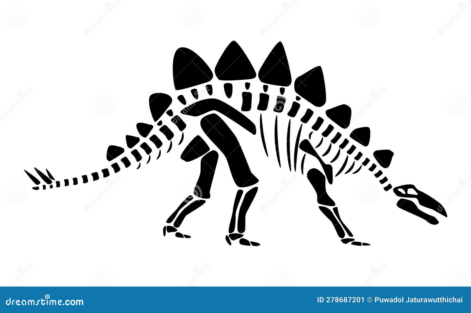 Stegosaurus Skeleton . Silhouette Dinosaurs . Side View Stock Vector ...
