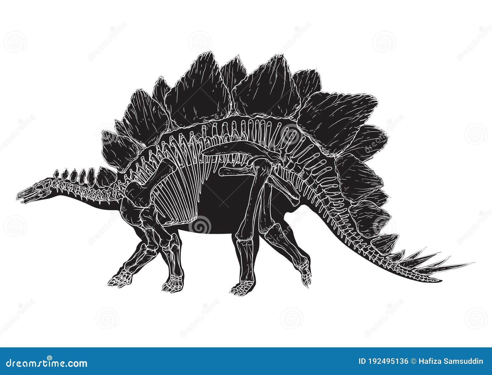 Stegosaurus. Vector Illustration Decorative Design Stock Vector ...