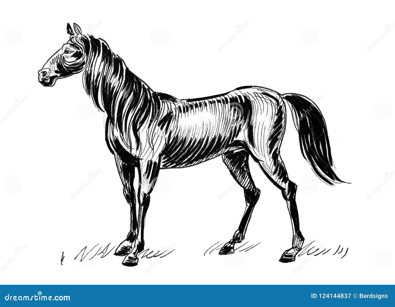 Stehendes Pferd stock abbildung. Illustration von tier - 124144837