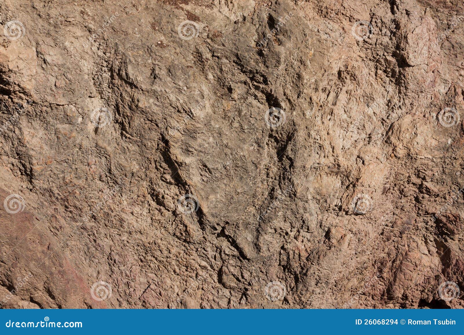 Stein Textur Schiefer stock photo. Image of material - 26068294