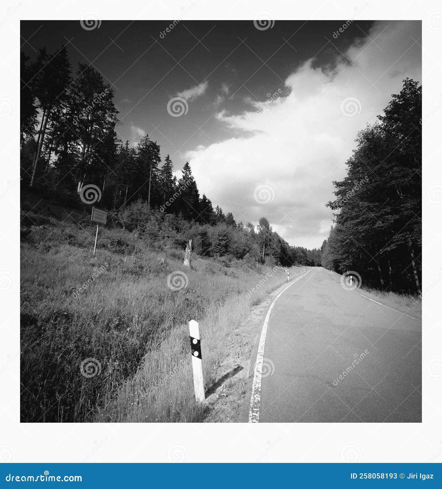 Steinbach, Germany - June 12, 2022: Path in Ore Mountains Stock Image ...