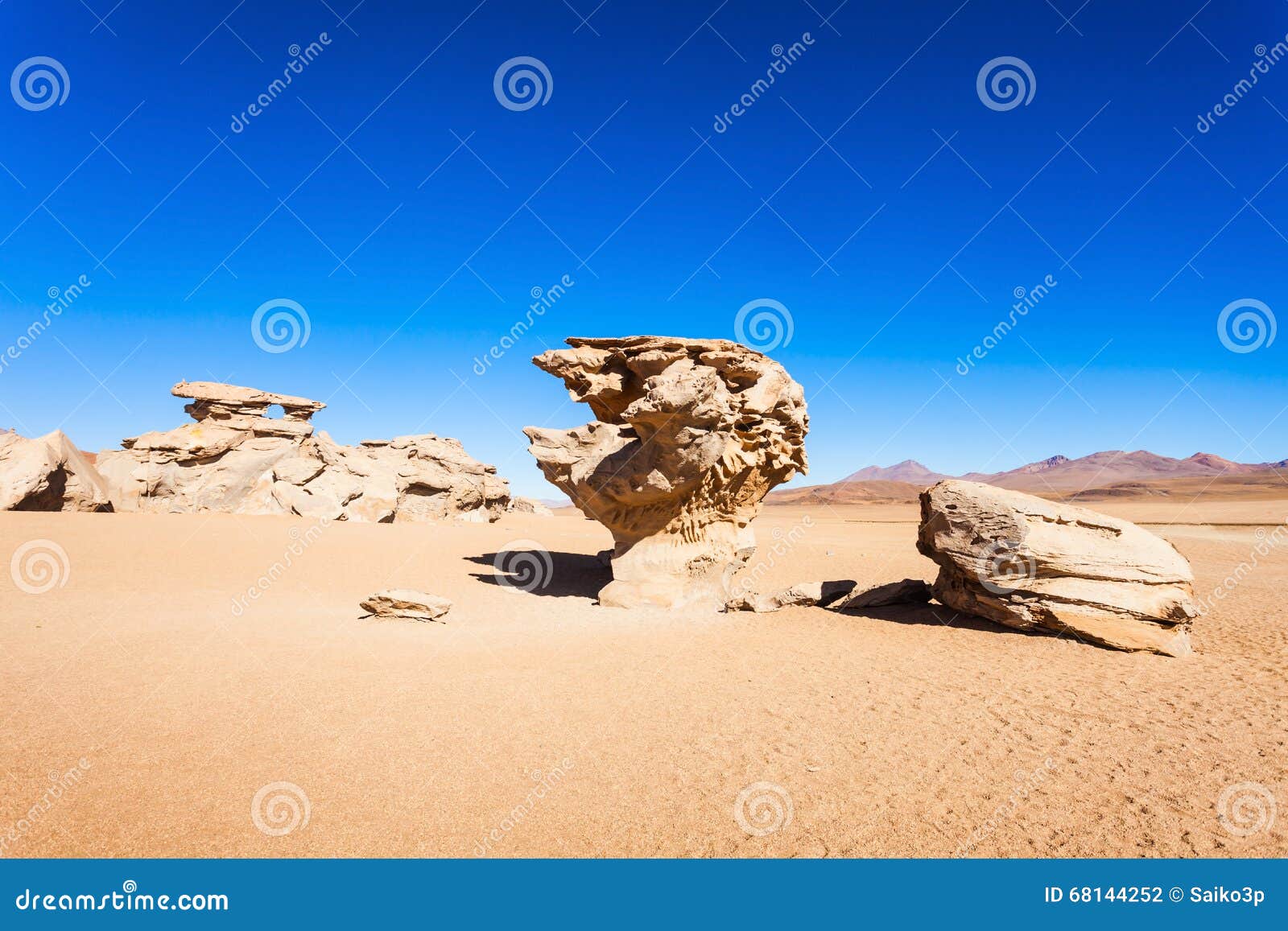 Steinbaum, Altiplano stockfoto. Bild von süd, höhe, hoch - 68144252