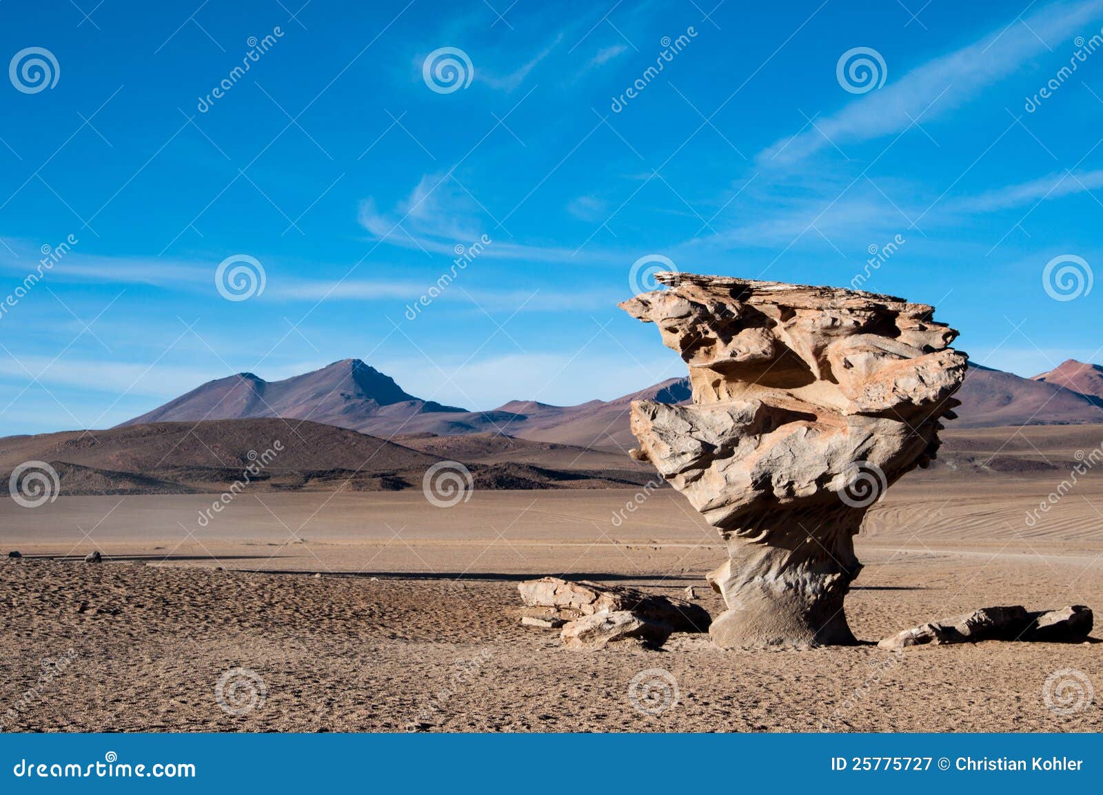 Steinbaum, Bolivien stockbild. Bild von salz, nave, süd - 25775727