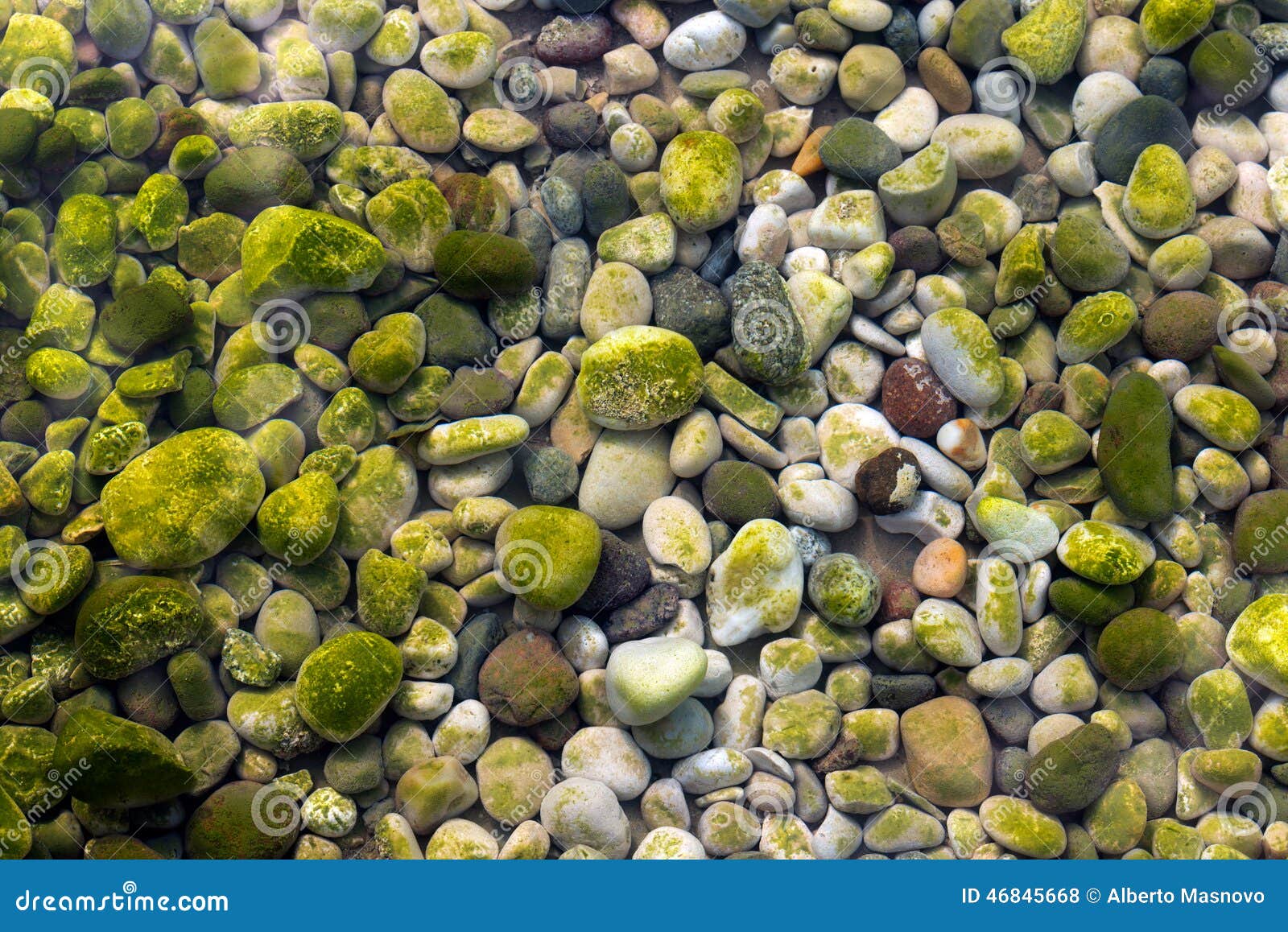 Steine Unter Wasser Mit Moos Stockfoto - Bild von braun, meer: 46845668