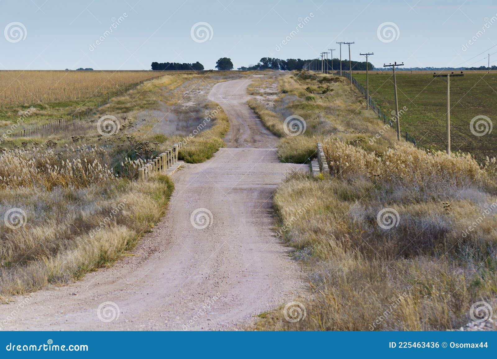 Steiniger Weg Auf Einem Feld Stockfoto - Bild von beträchtlich, weide ...