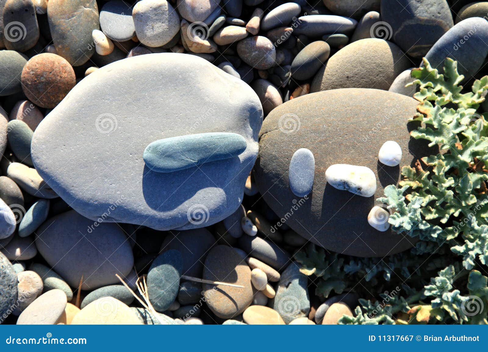 Steinmann. Bild Bild: 11317667