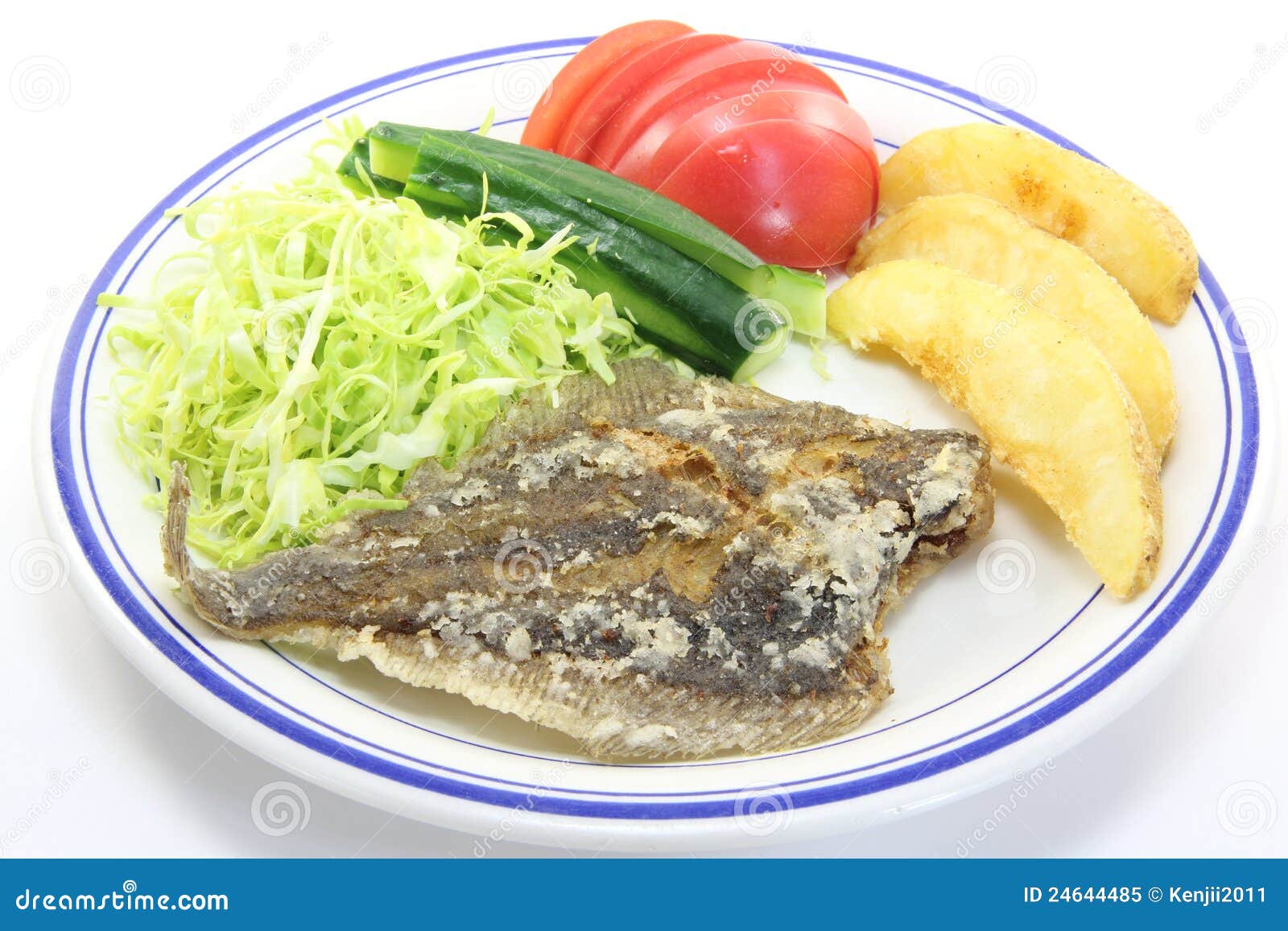 Stekt flundra fotografering för bildbyråer. Bild av gurka - 24644485