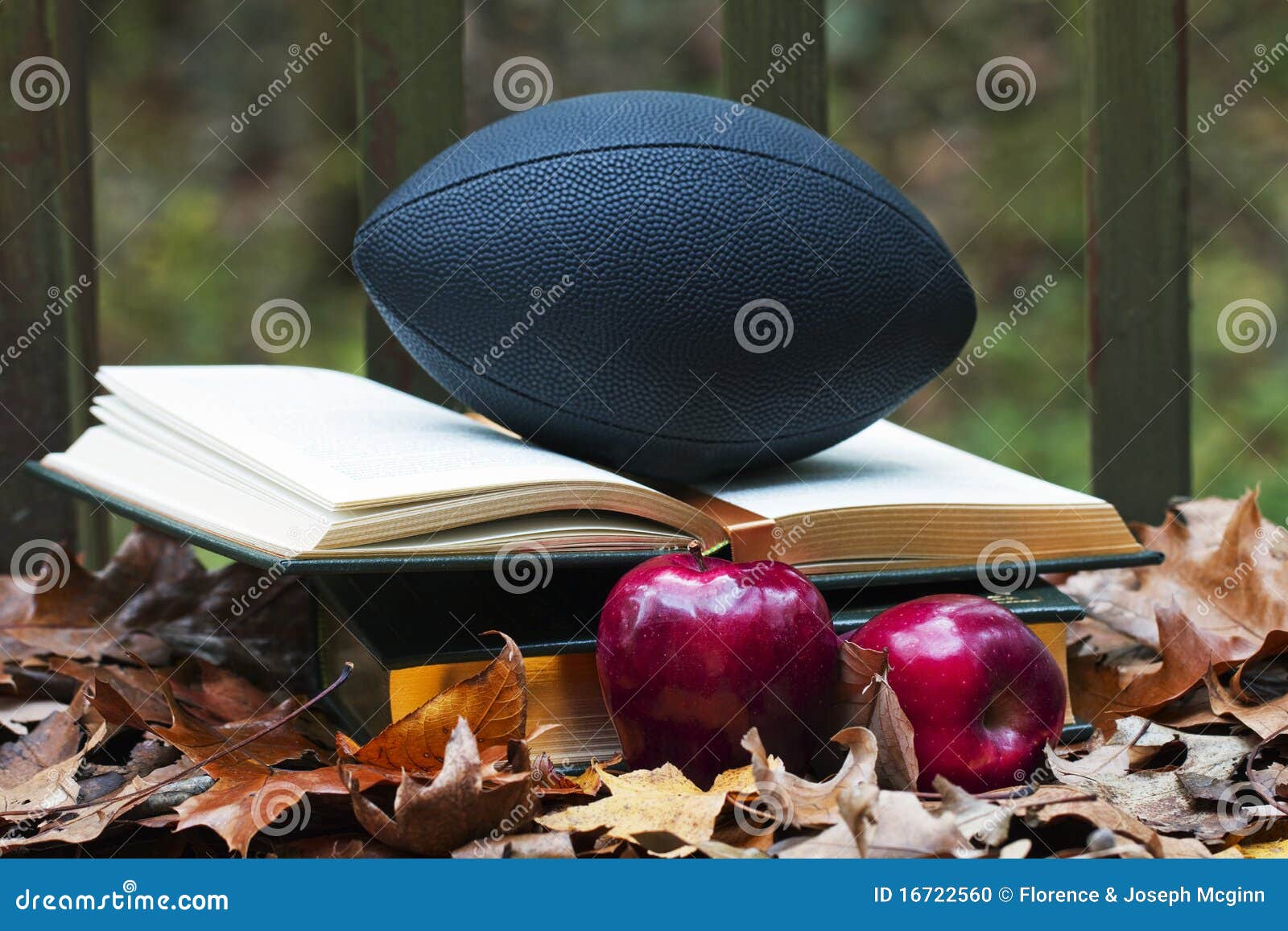 Stellar Football Scholar stock photo. Image of rigor - 16722560