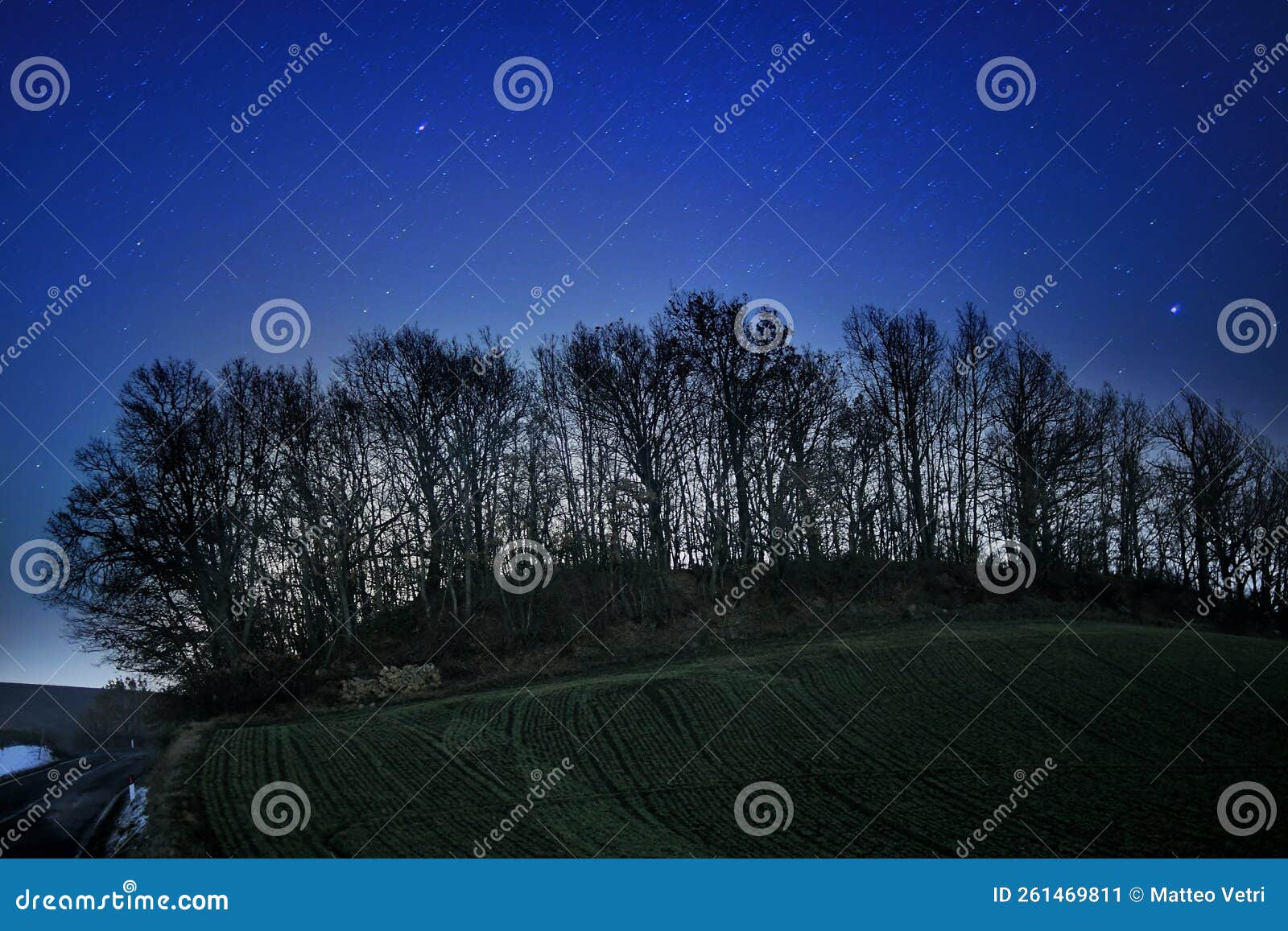 Lawn, trees and starry sky stock image. Image of trees - 261469811