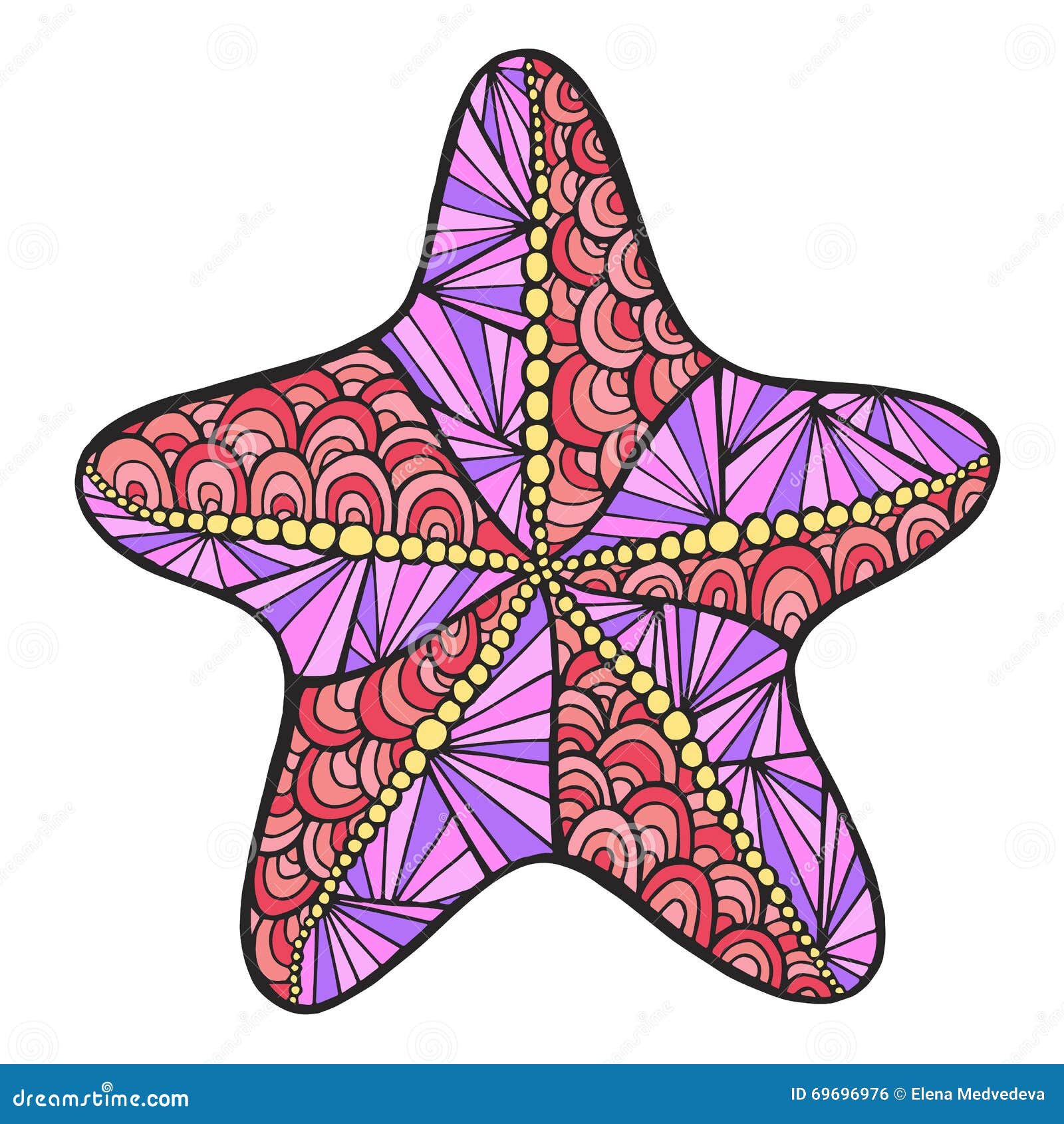 Stelle Marine Colorate Stilizzate Illustrazione Vettoriale ...